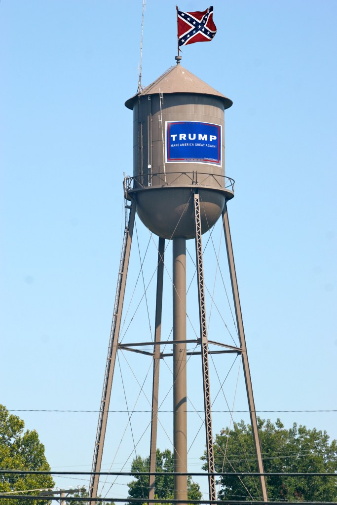 The Fish People Living in Our Water Towers and What They Mean for You ...