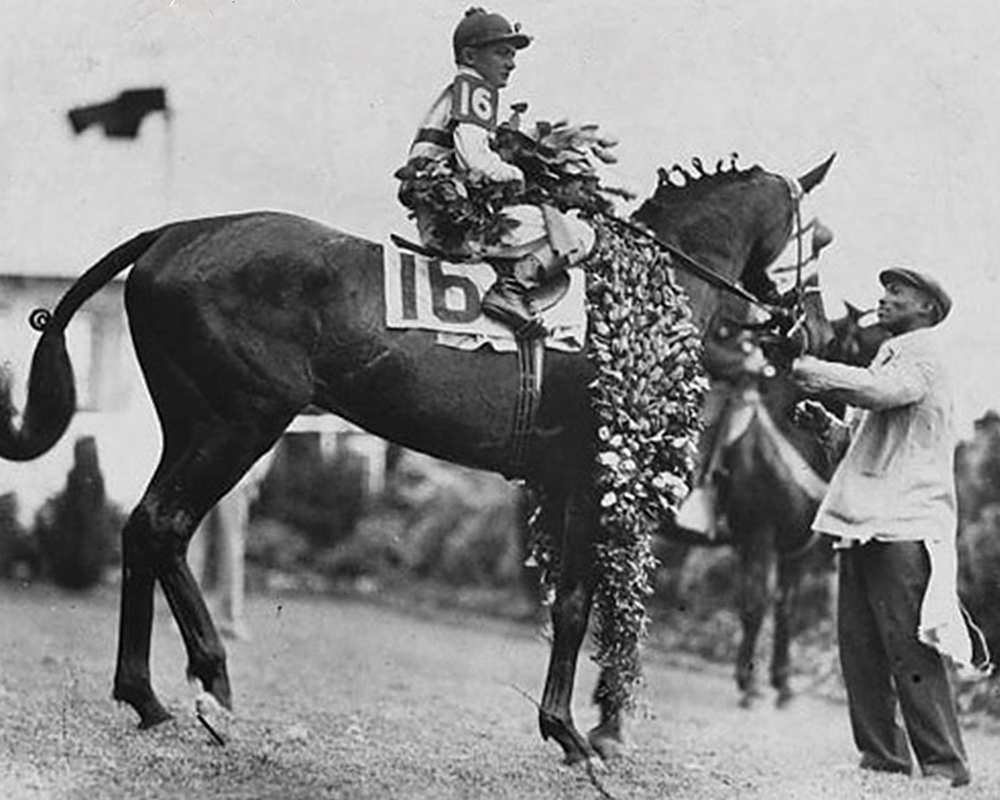 The Legend of a Horse Named Rex Washington – Eritas Daily