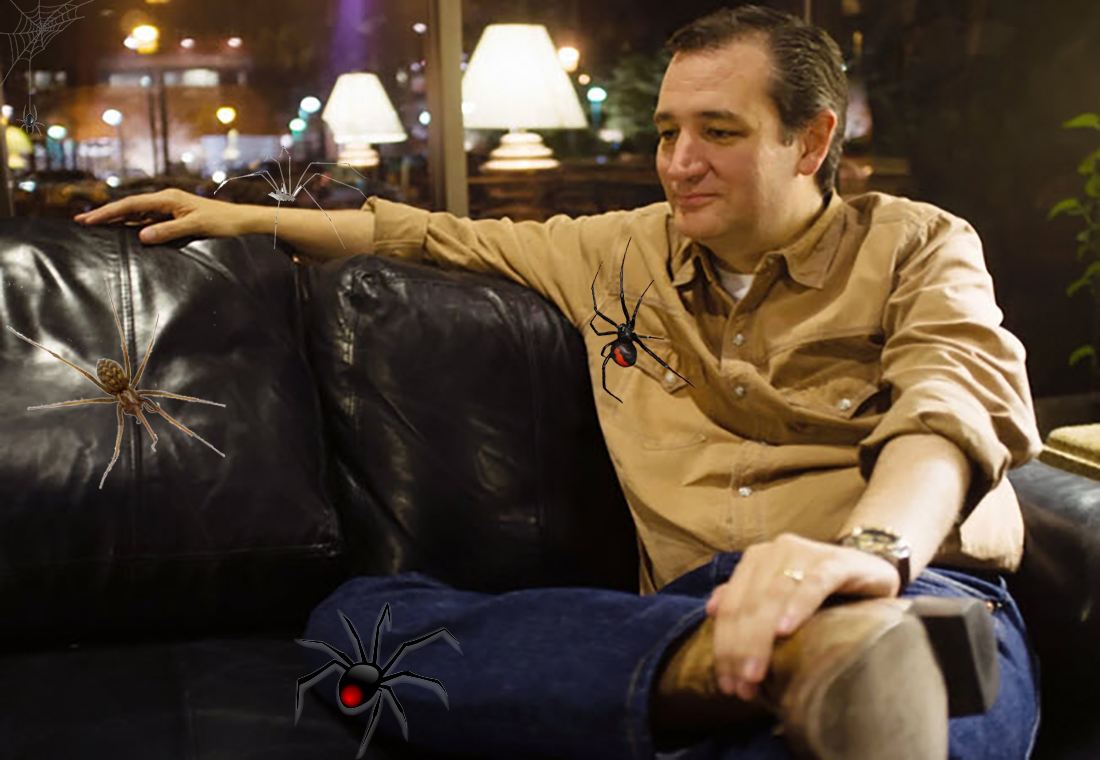 Ted Cruz Celebrates Senate Win Quietly at Home with His Spiders ...